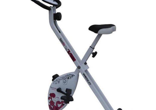Vélo appartement vm 500 - monveloestunique.fr